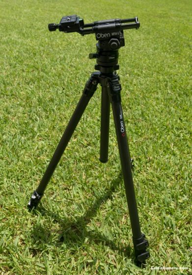 My new Leica M10 macro/product photography setup - Leica Rumors